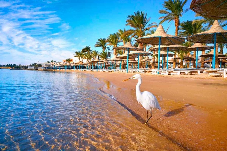 end of year offers hurghada - Horizon Real Estate